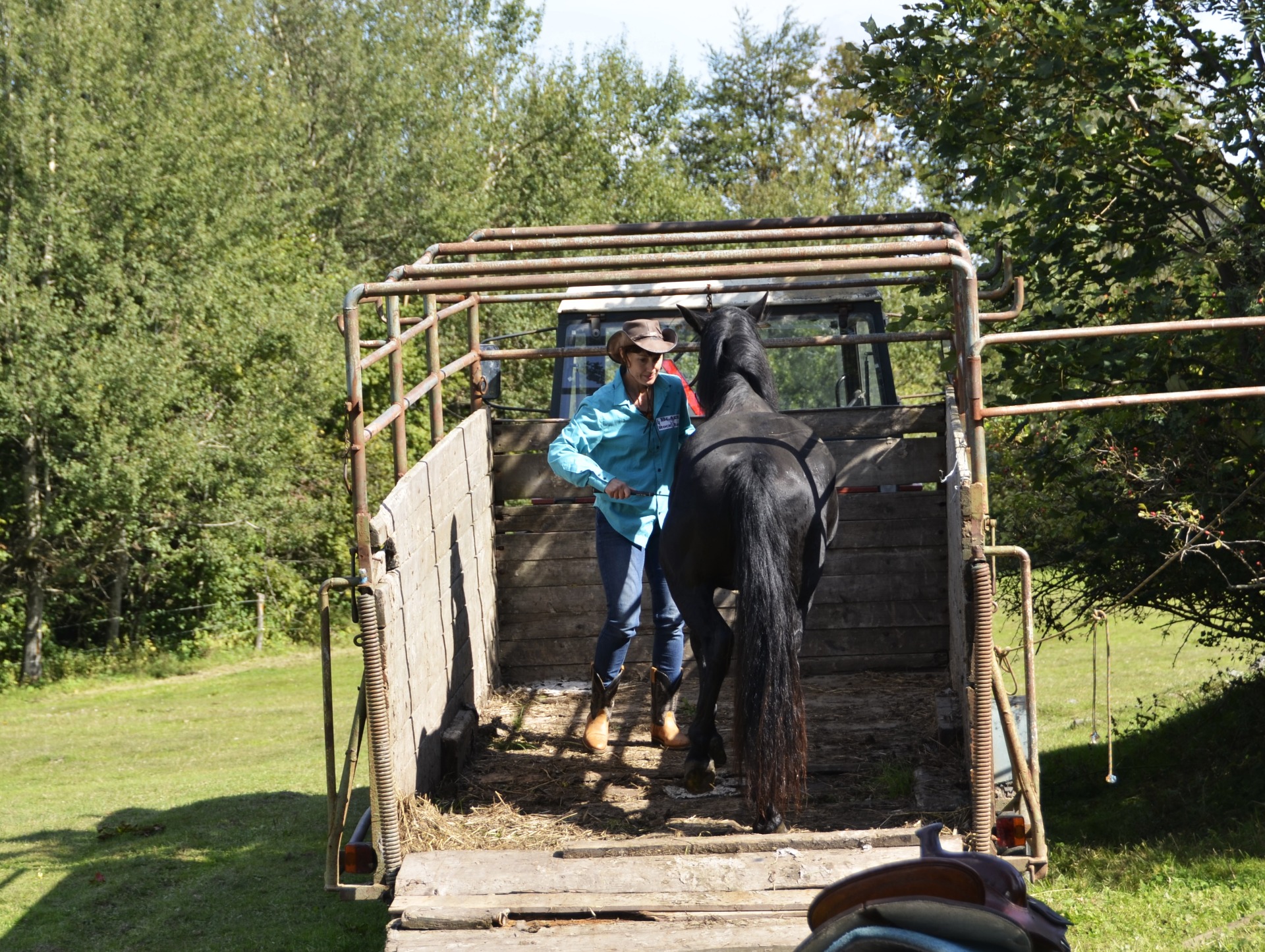 O plemeni :: Ranč Pilgrim